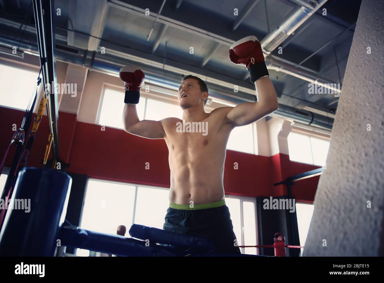 Boxing knockout young male hi-res stock photography and images - Alamy