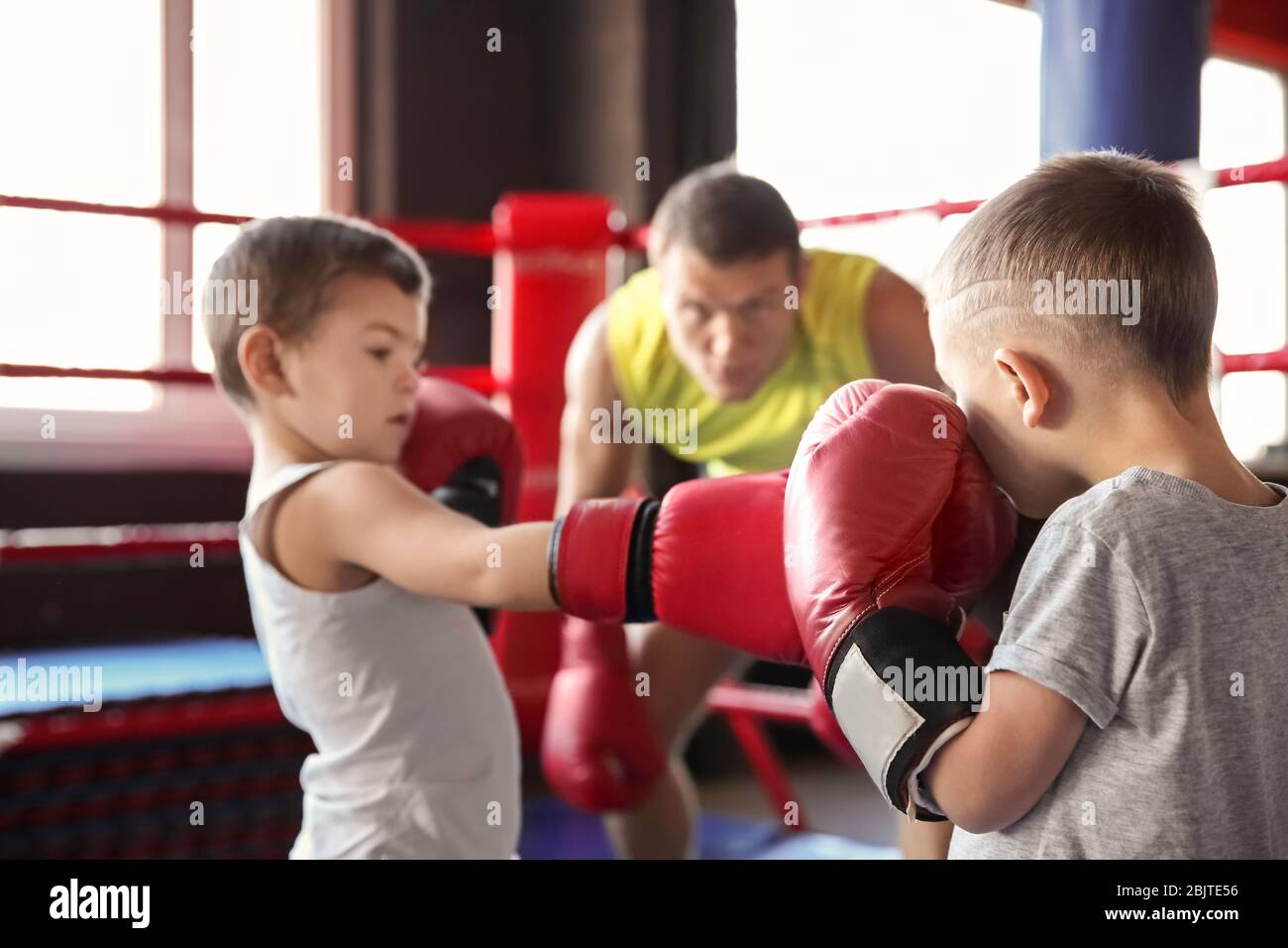 Little boys fighting in boxing ring Stock Photo - Alamy