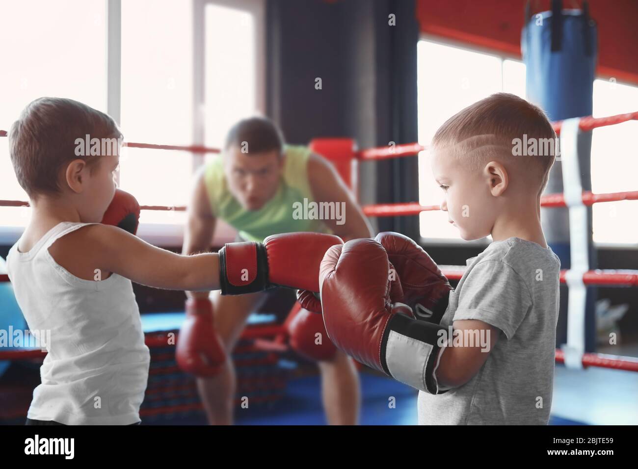 Little boys fighting in boxing ring Stock Photo - Alamy