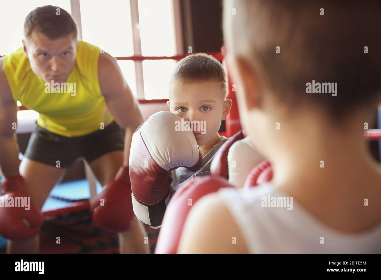 Little boys fighting in boxing ring Stock Photo - Alamy