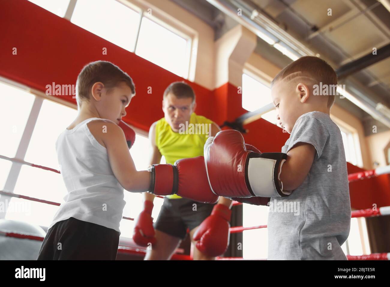 Little boys fighting in boxing ring Stock Photo - Alamy