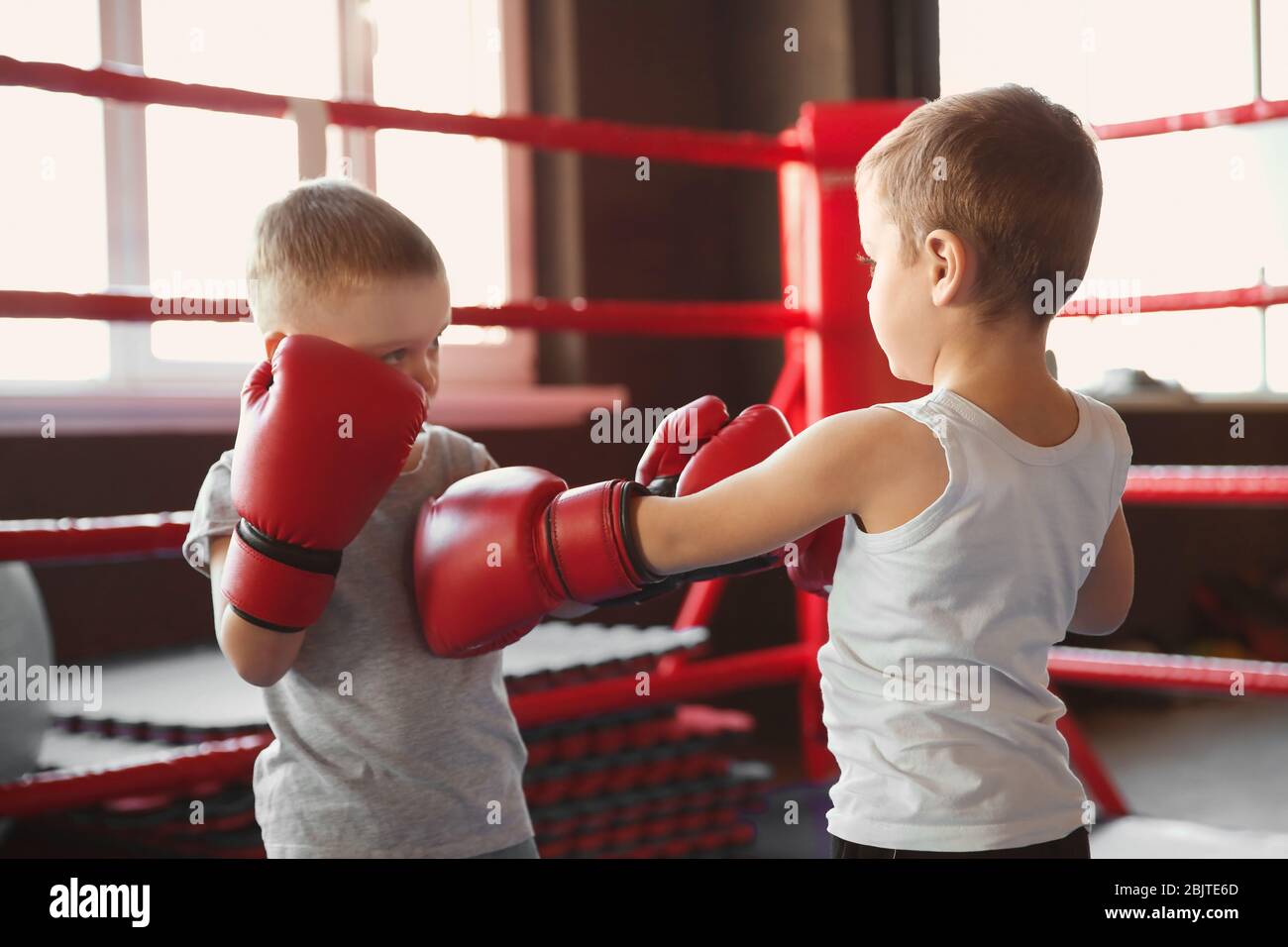 Little boys fighting in boxing ring Stock Photo - Alamy