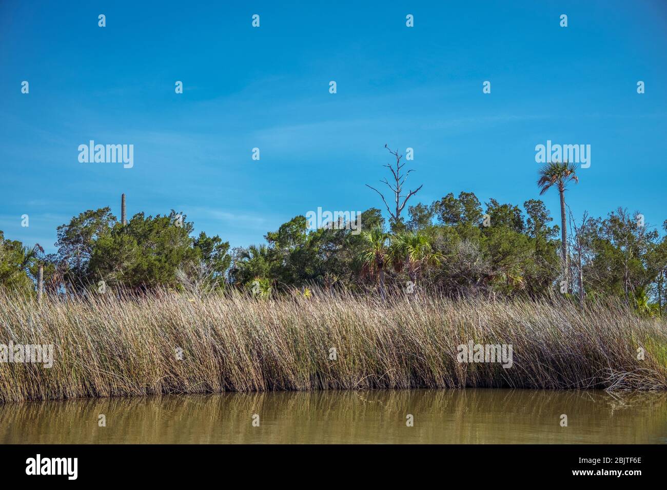 Florida Salt Marsh. Gulf Coast near Yankeetown, Florida. scenic coastal ...