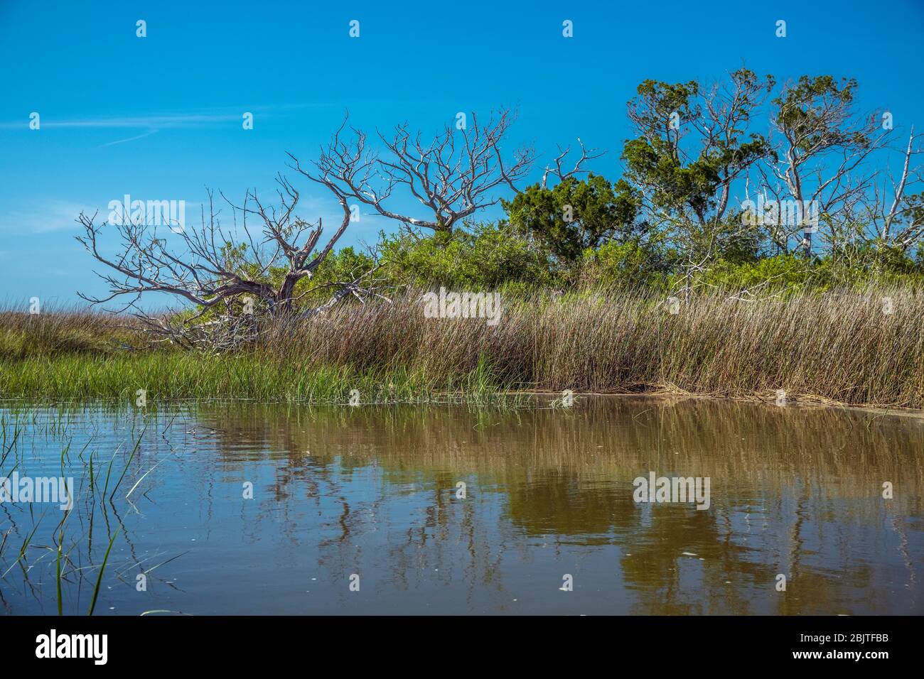 Florida Salt Marsh. Gulf Coast near Yankeetown, Florida. scenic coastal ...