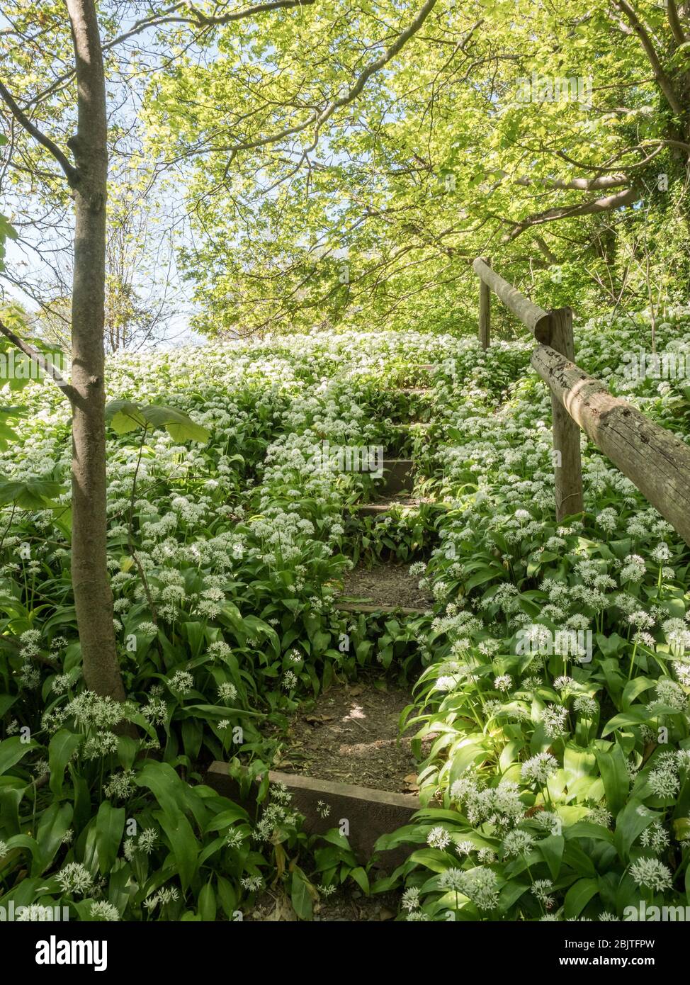 Footpath handrail hi-res stock photography and images - Alamy