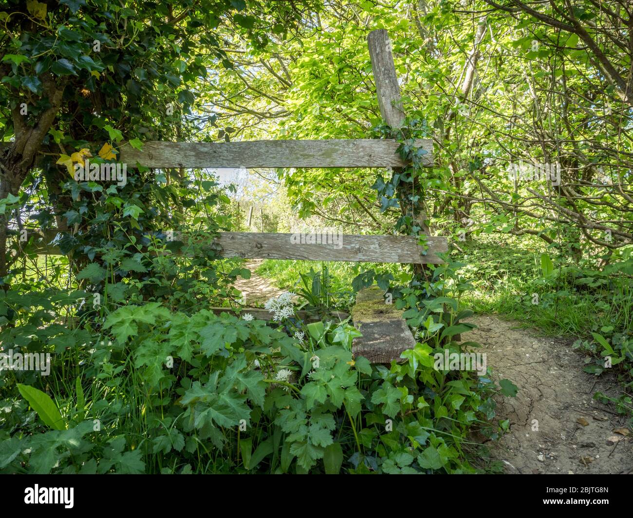 Step stile hi-res stock photography and images - Alamy