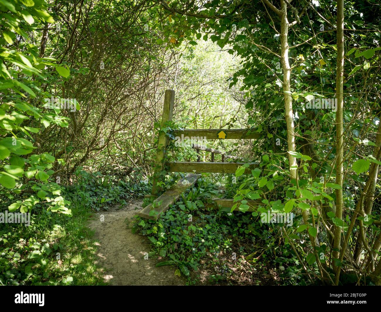 Step stile hi-res stock photography and images - Alamy