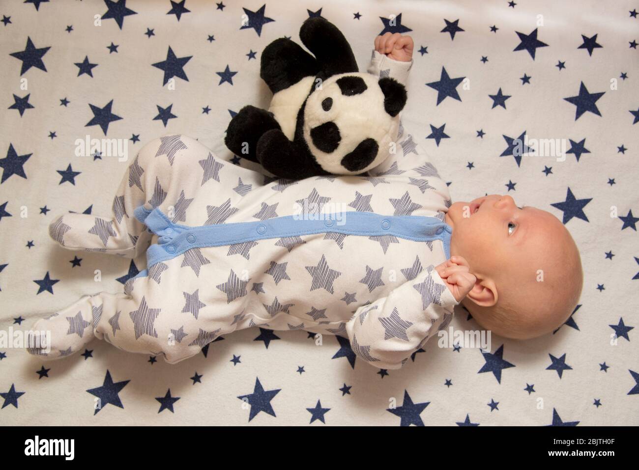 Panda baby newborn hi-res stock photography and images - Alamy