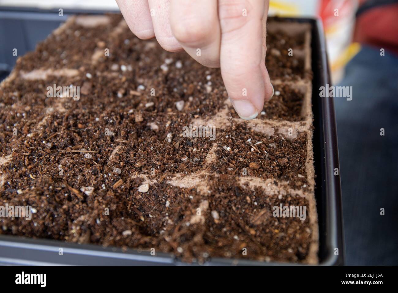 Planting a seed hi-res stock photography and images - Alamy