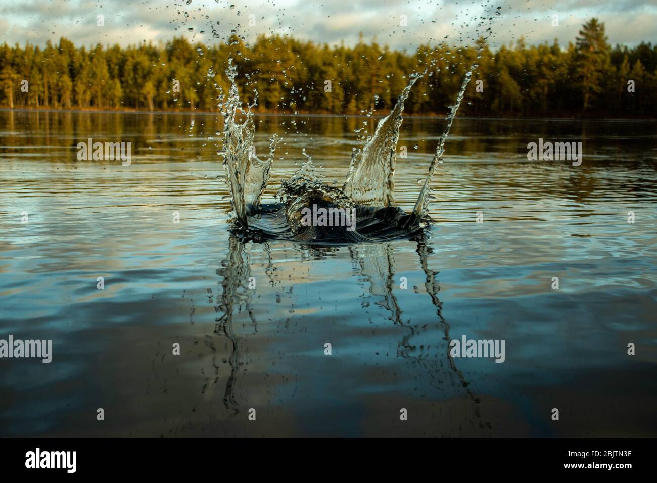 This picture is made in winter when we had a walk in a bog. Sometimes ...