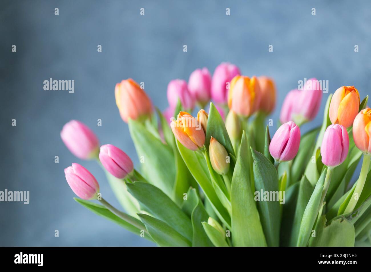 Happy birthday spring flowers hi-res stock photography and images - Alamy