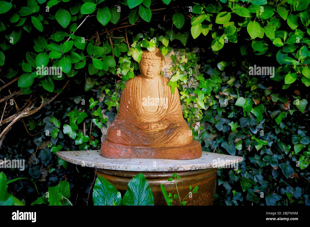Portland. 26th April 2020. Buddha. Last rays of the setting sun ...