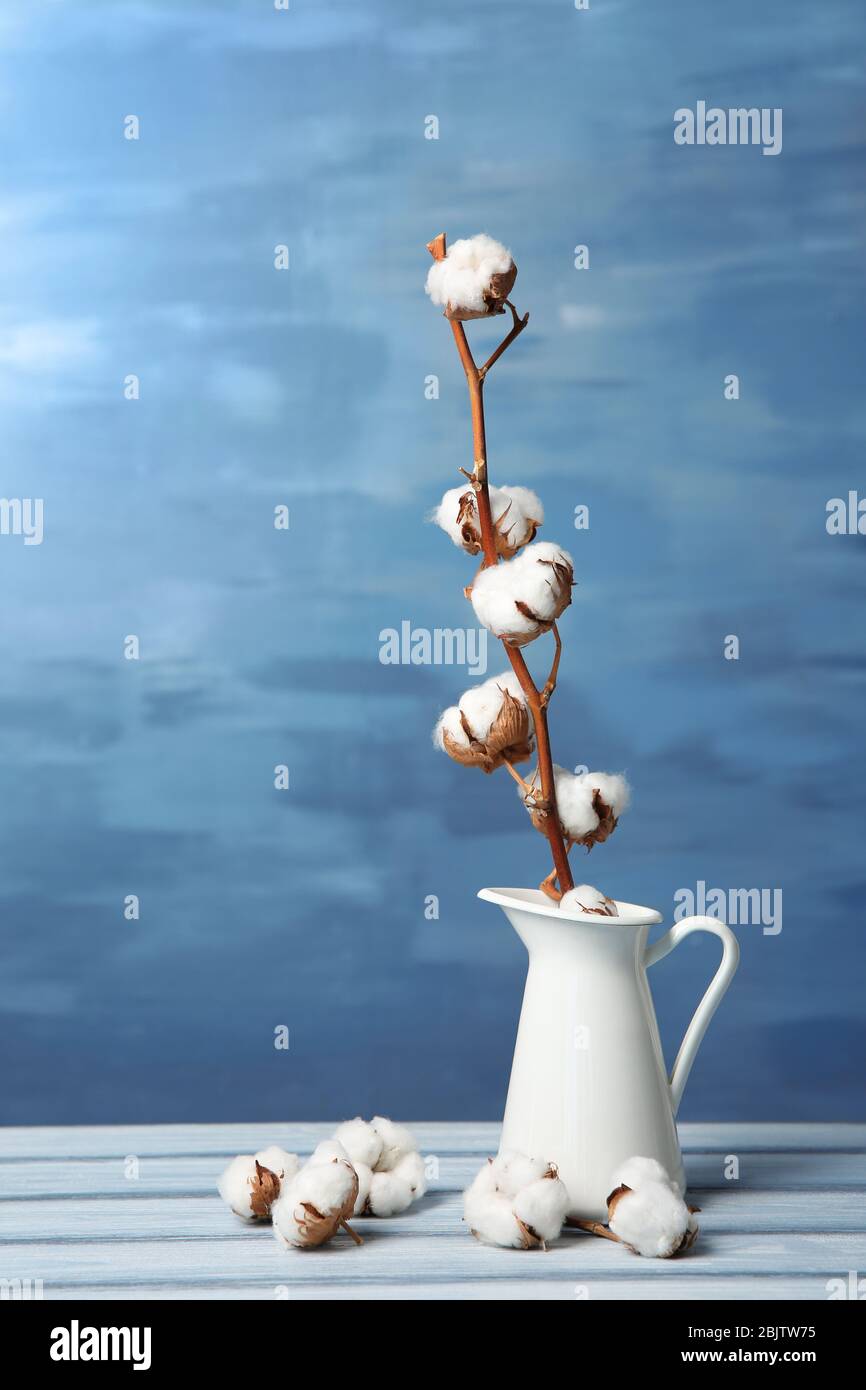 Dried pitcher plant hi-res stock photography and images - Alamy