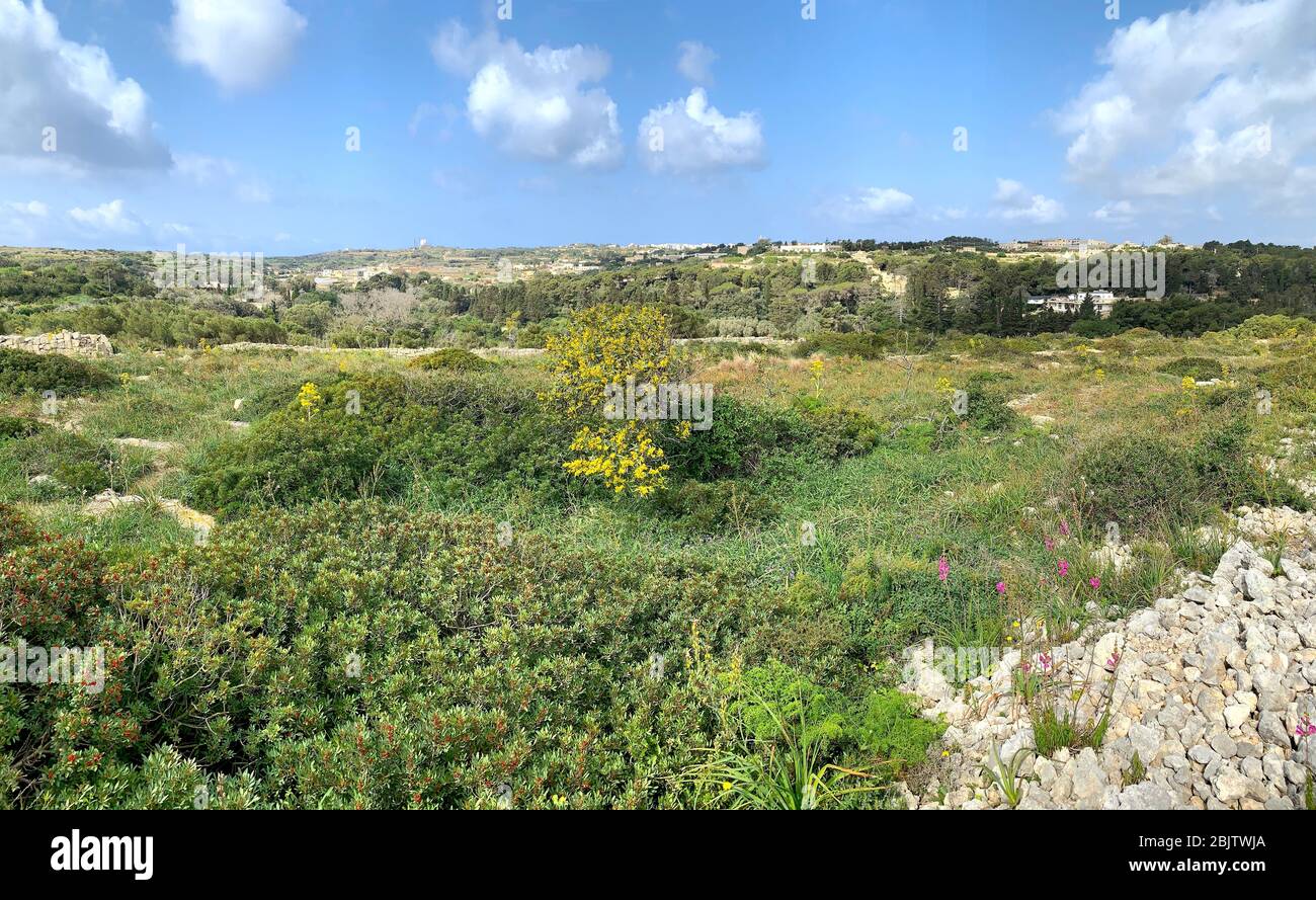Country landscapes of Verdala lands in the south part of Malta Stock ...