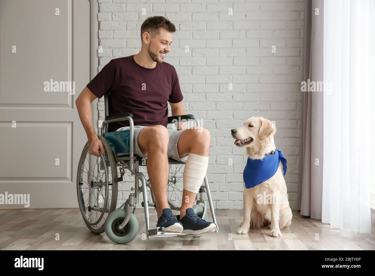 Man in wheelchair with service dog indoors Stock Photo - Alamy
