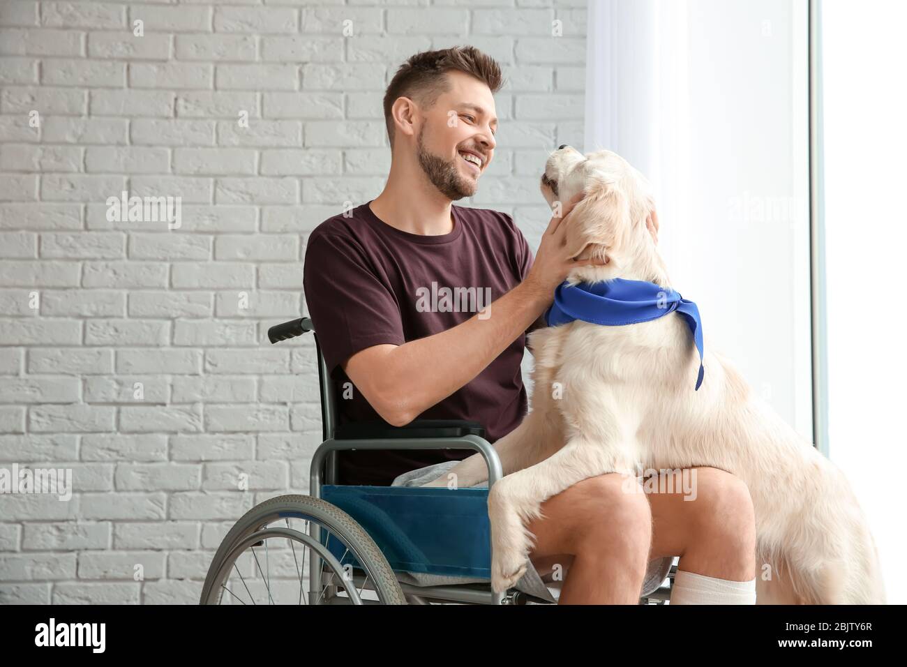 Man in wheelchair with service dog indoors Stock Photo - Alamy