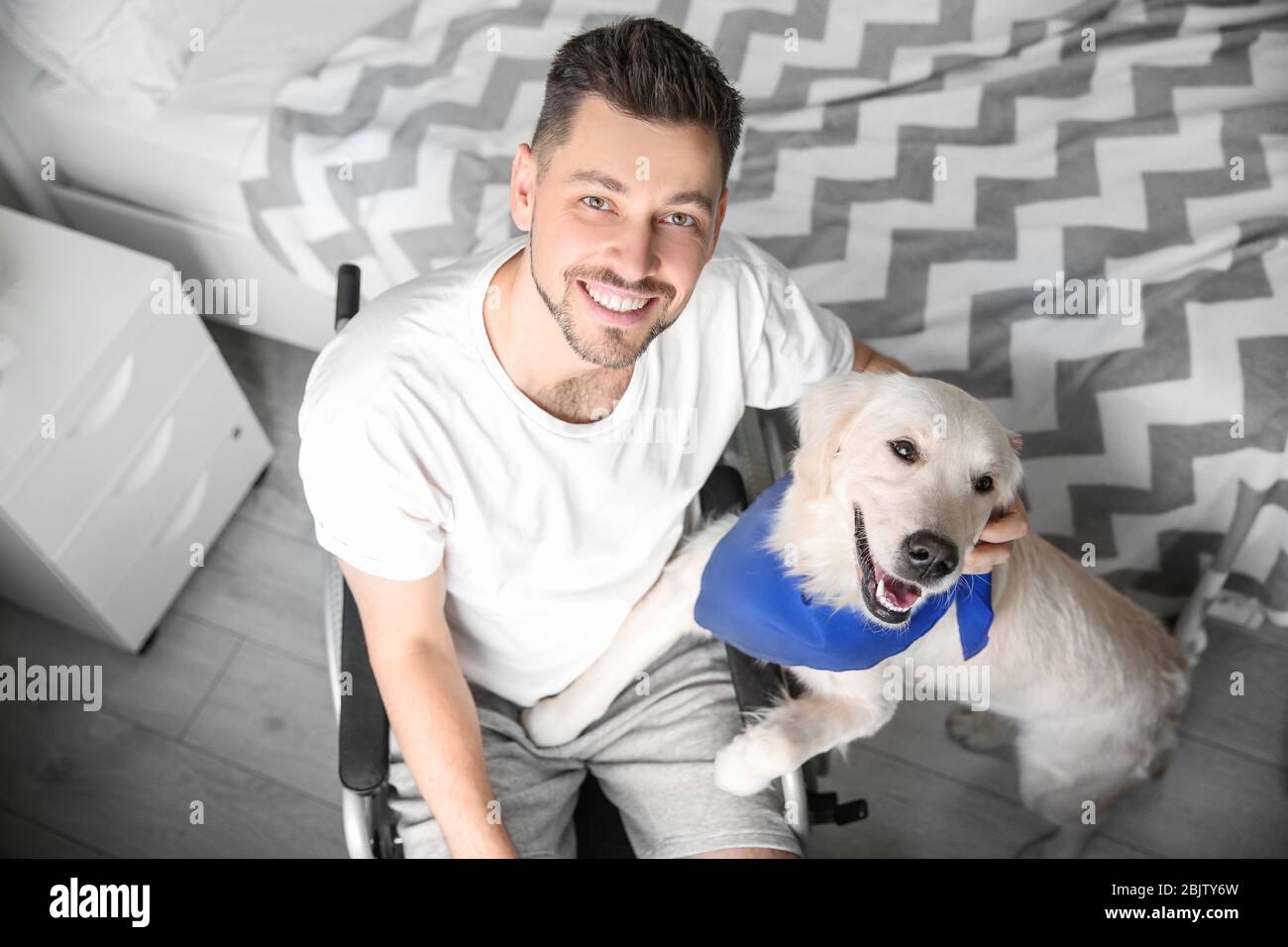 Man in wheelchair with service dog indoors Stock Photo - Alamy