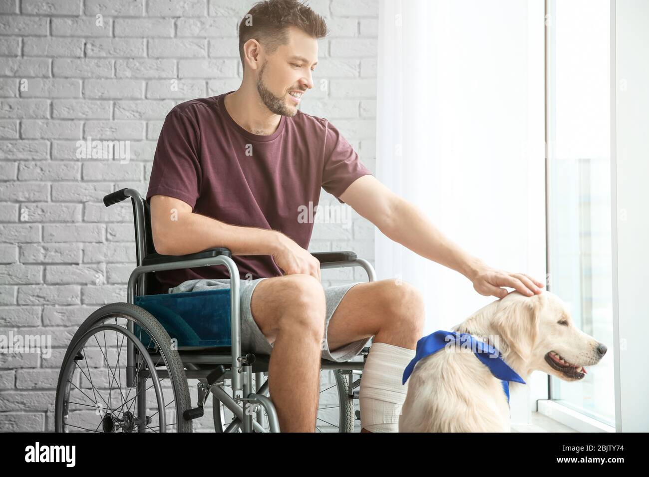 Man in wheelchair with service dog indoors Stock Photo - Alamy
