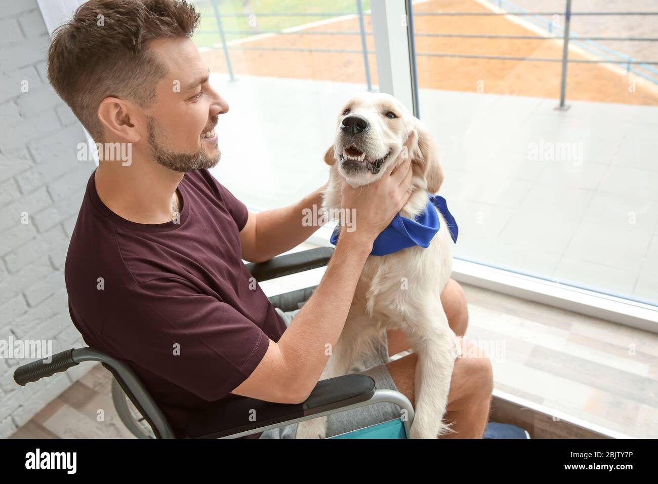 Man in wheelchair with service dog indoors Stock Photo - Alamy