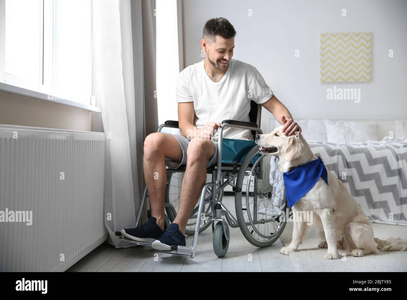 Man in wheelchair with service dog indoors Stock Photo - Alamy