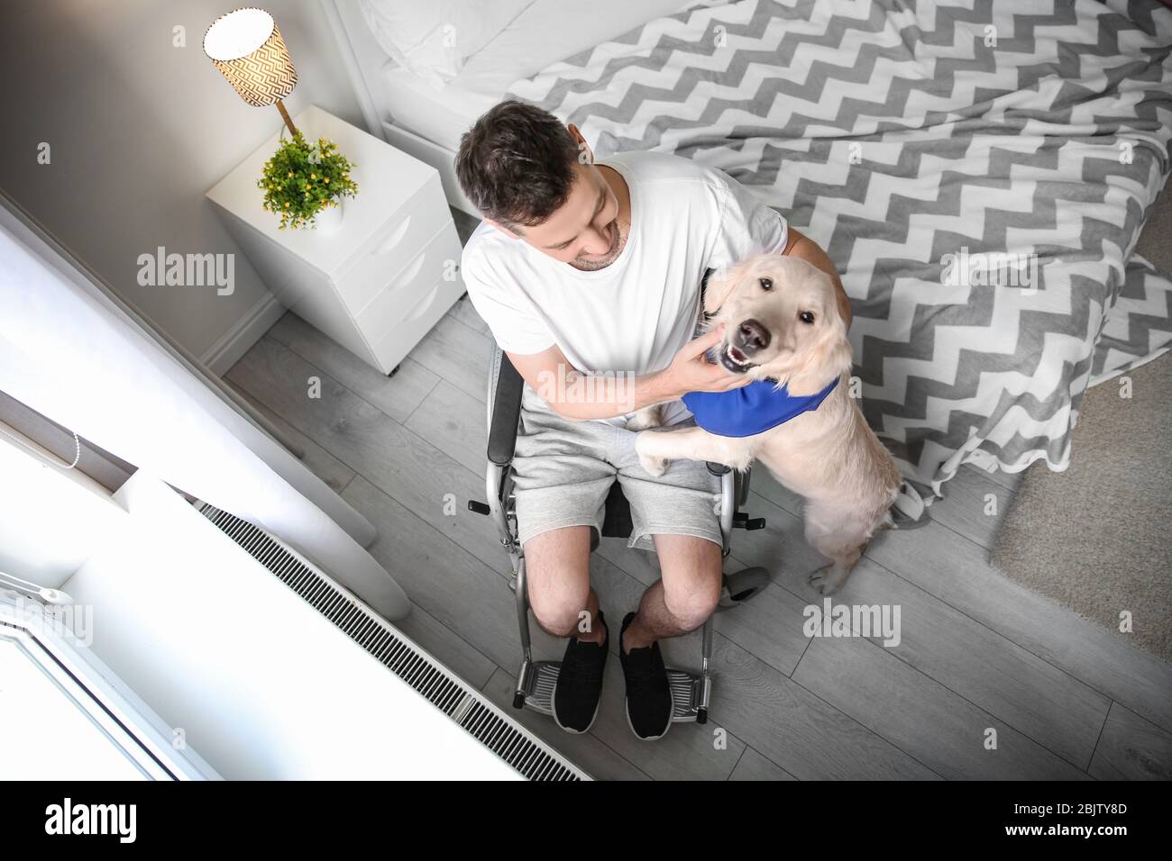 Man in wheelchair with service dog indoors Stock Photo - Alamy