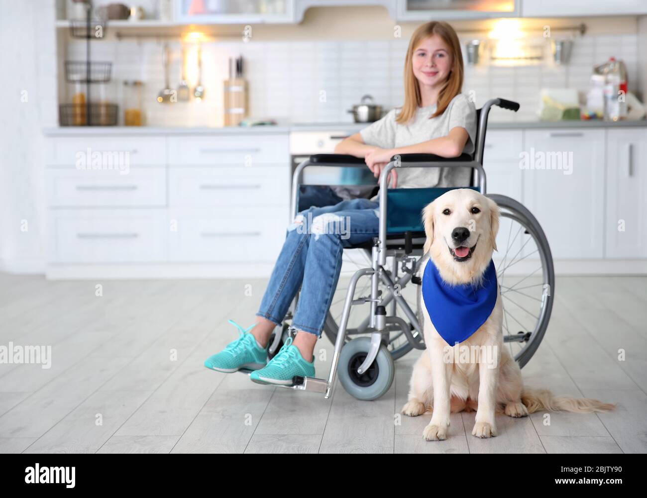 Cute service dog sitting on floor near girl in wheelchair indoors Stock ...