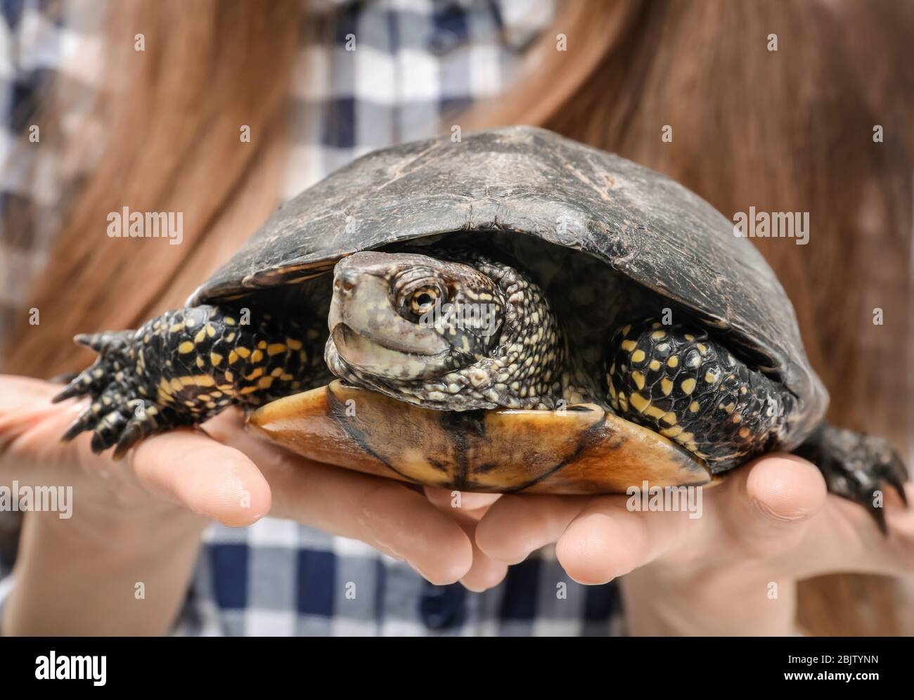 Woman turtle pet hi-res stock photography and images - Alamy