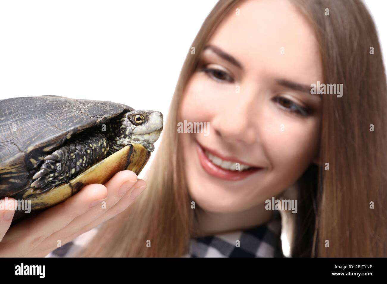 Beautiful young woman with pet turtle on white background Stock Photo ...