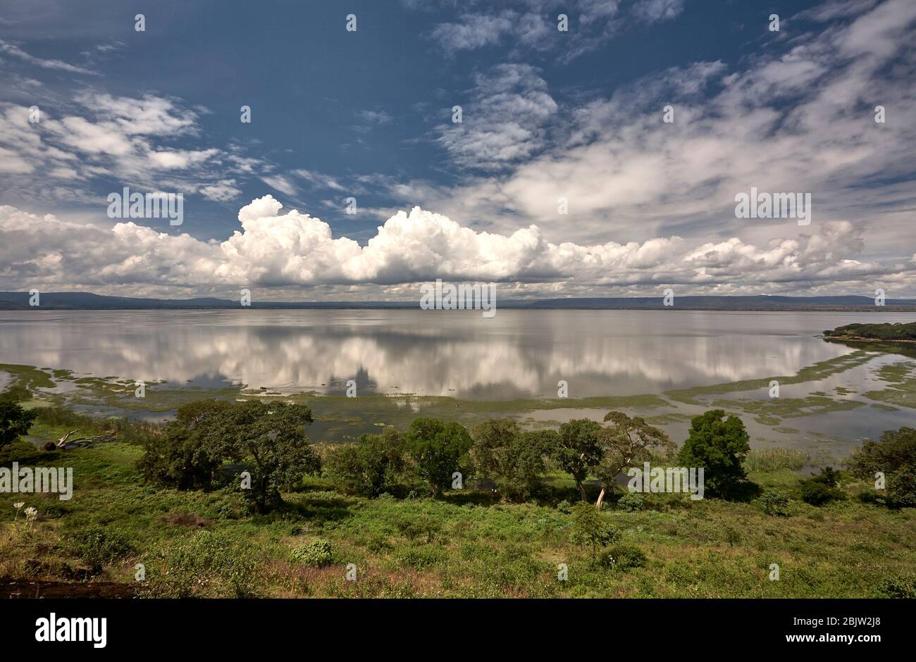 Hawassa university hi-res stock photography and images - Alamy