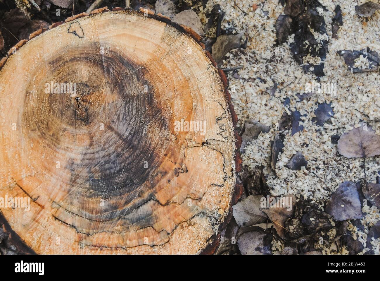 Horizontal color image with a overhead view of a texture of a old ...