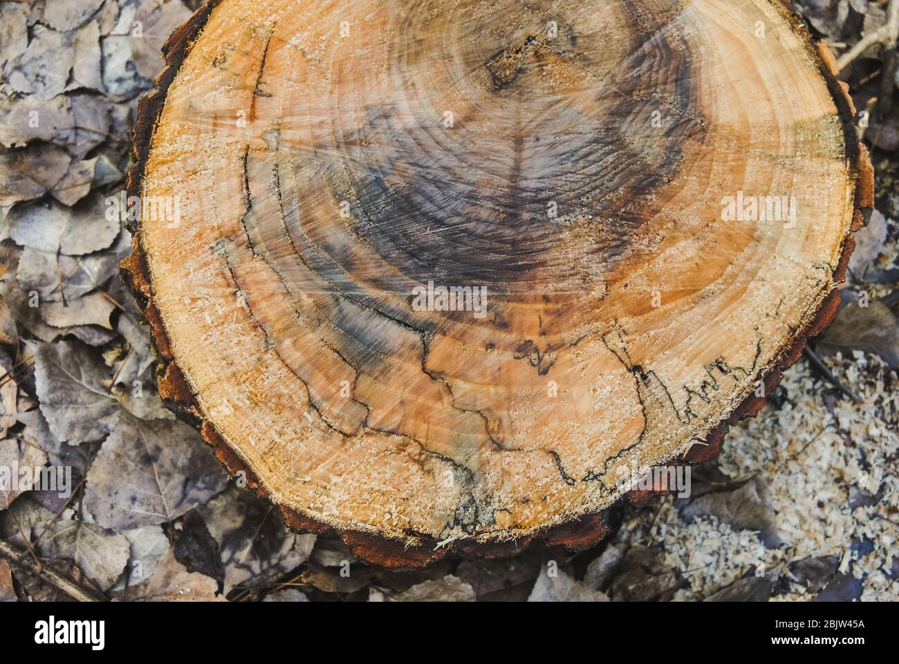 Horizontal color image with a overhead view of a texture of a old ...