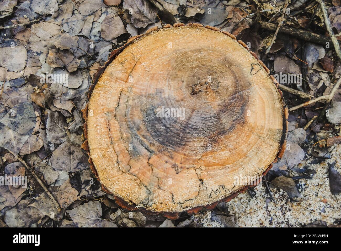 Horizontal color image with a overhead view of a texture of a old ...