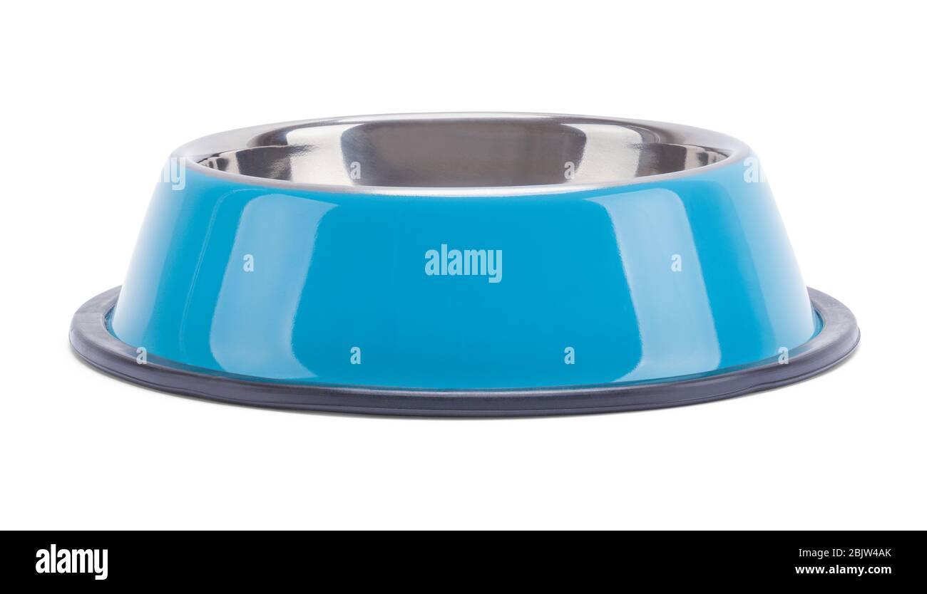 Empty Blue Dog Food Bowl Front View Isolated on White Stock Photo - Alamy