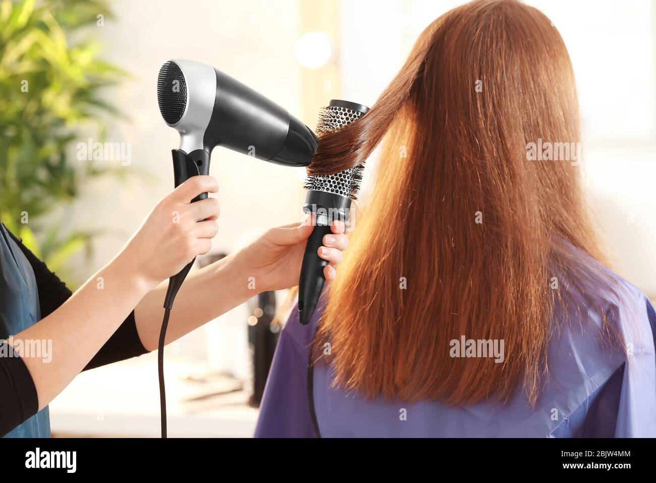Professional hairdresser working with client in salon Stock Photo - Alamy