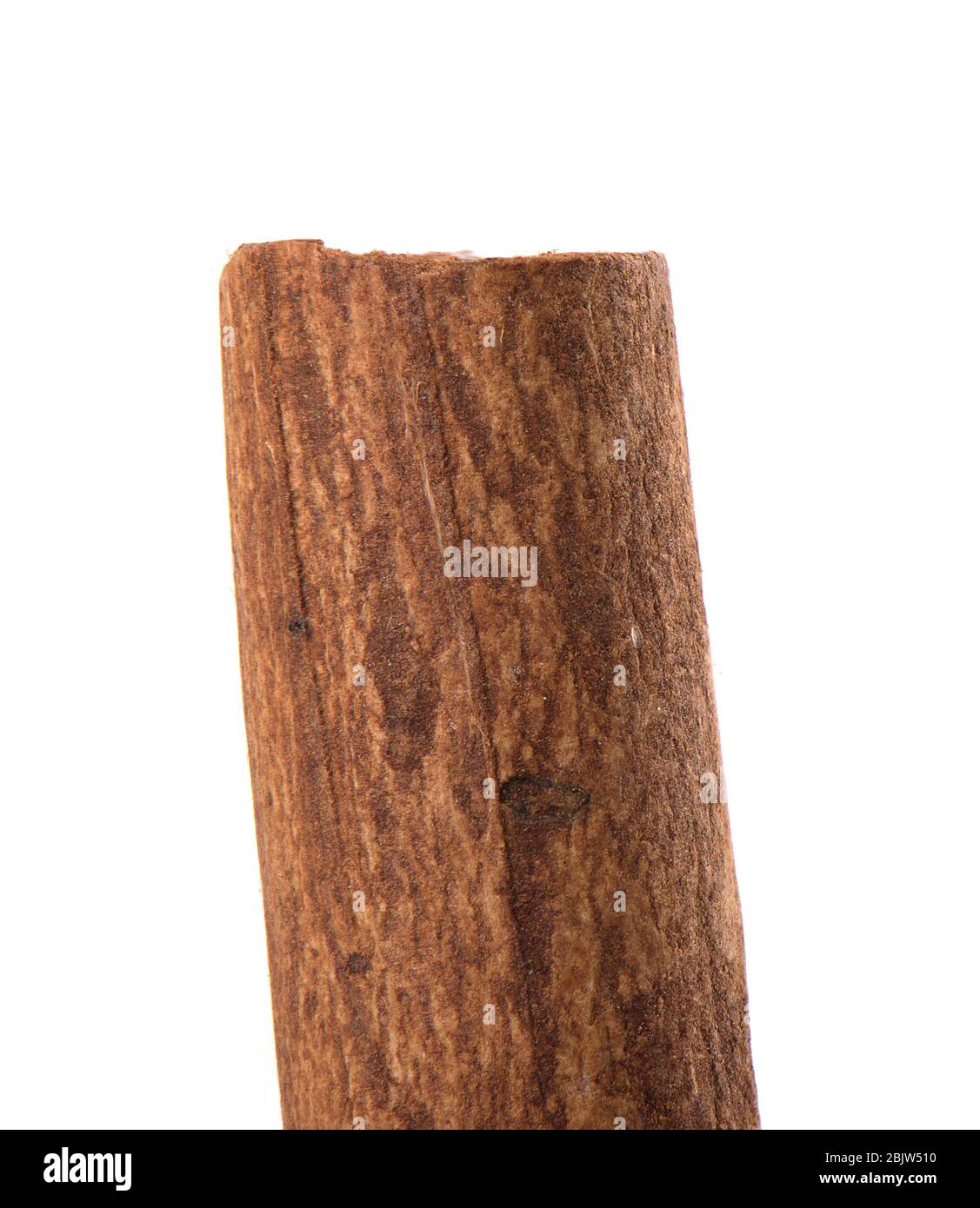 Macro shot of cinnamon sticks isolated on a white background. Cinnamon ...