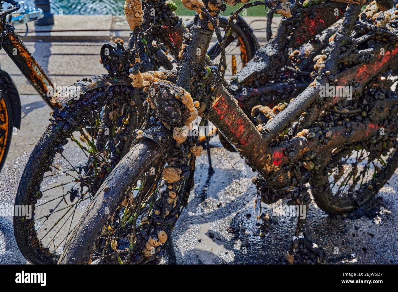Bike covered in mud hi-res stock photography and images - Alamy