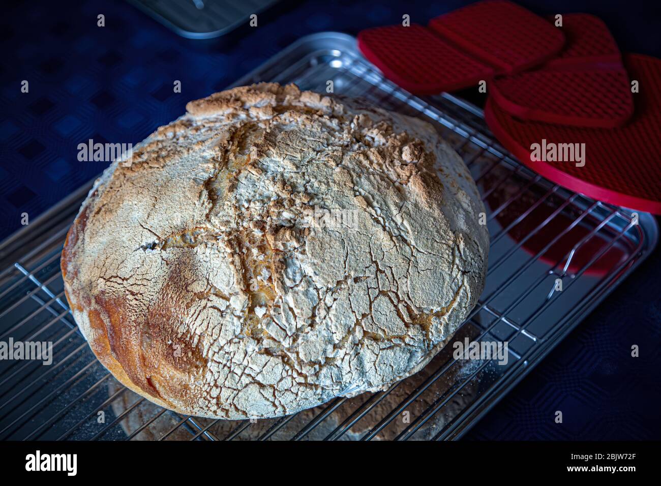 Soudough home made bread, cooked in dutch oven Stock Photo - Alamy
