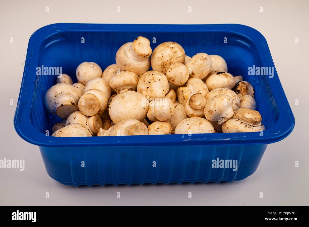 Young mushrooms in a plastic container on a white background. Close up ...