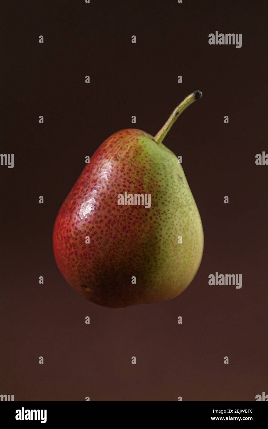 Pear fruit single isolated hi-res stock photography and images - Alamy