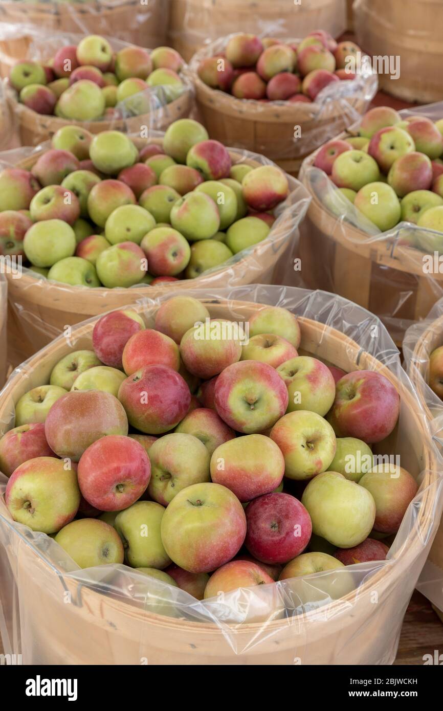 Bushel basket hi-res stock photography and images - Alamy