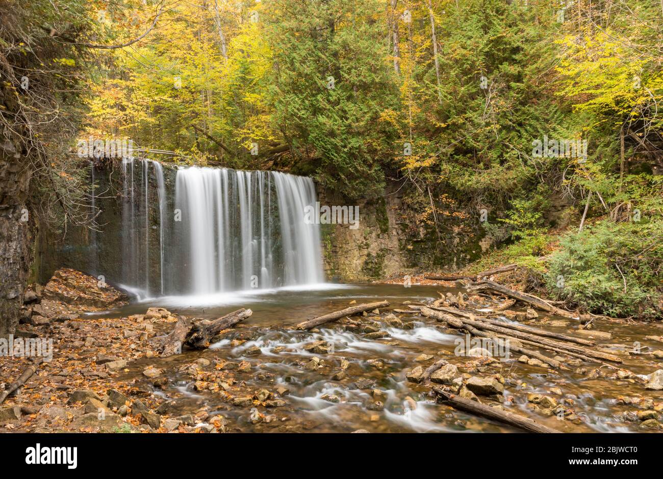 Long exposure trees hi-res stock photography and images - Alamy