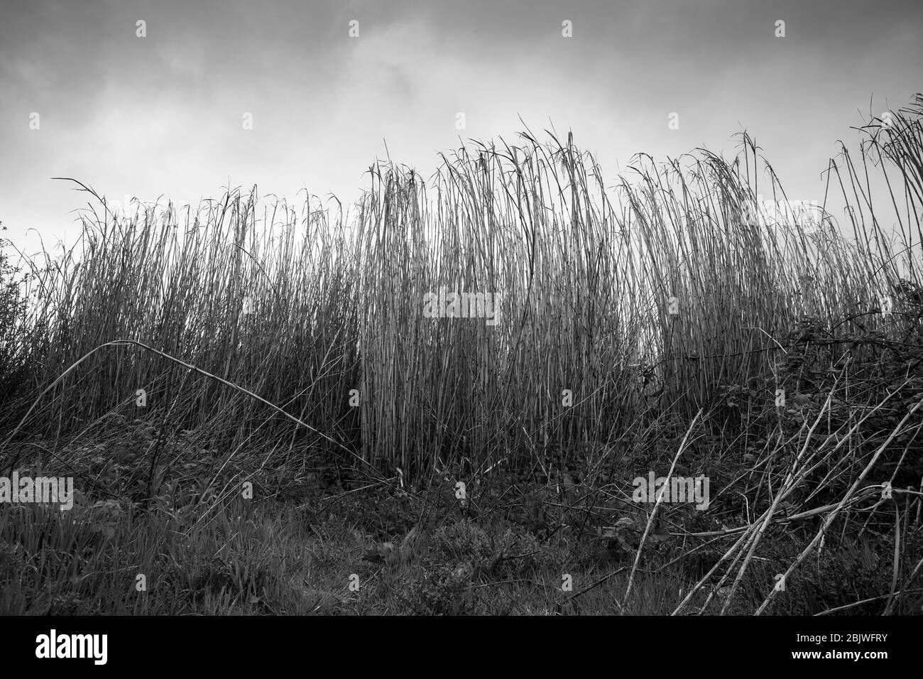 Background image traditional Black and White Stock Photos & Images - Alamy