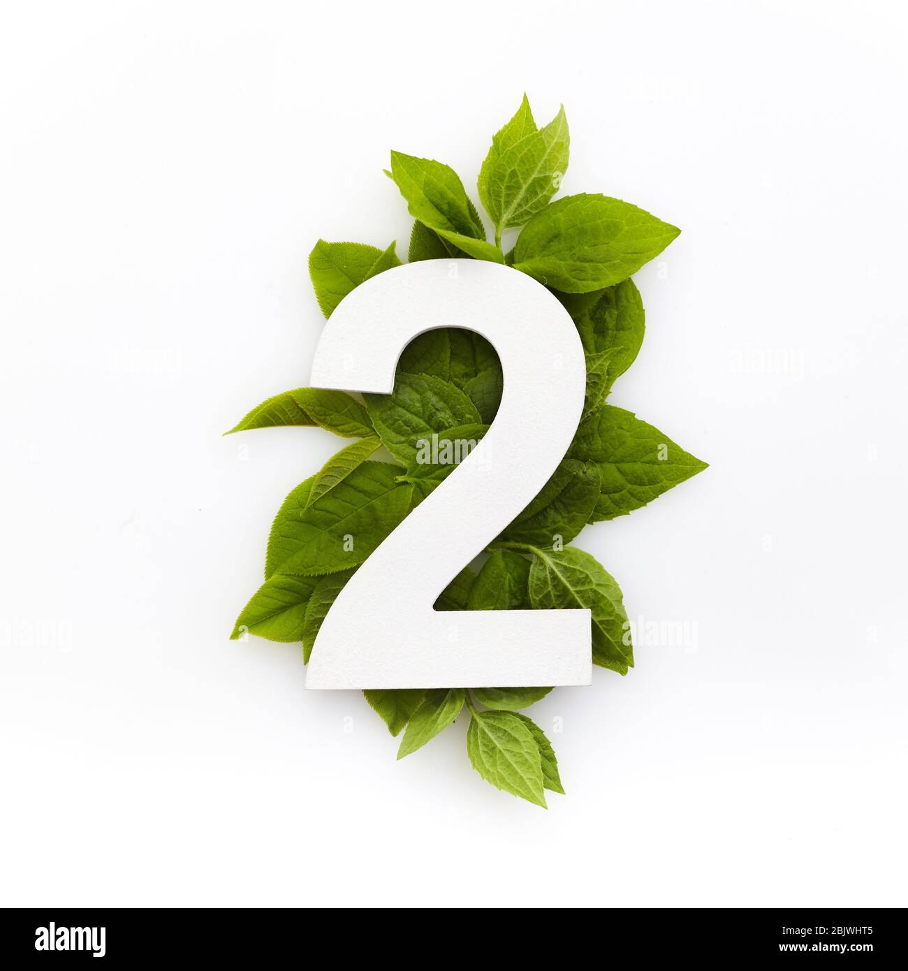 Number two with green leaves. Minimal summer concept. Flat lay Stock ...