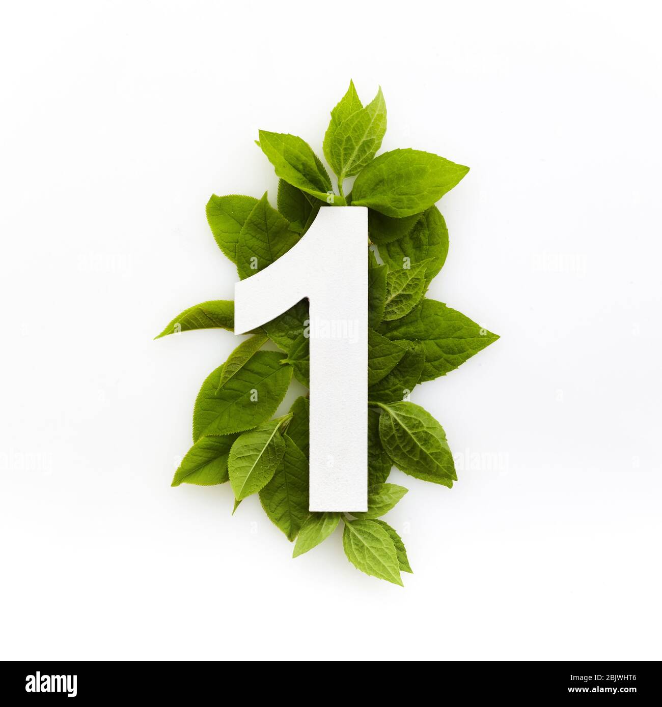 Number one with green leaves. Minimal summer concept. Flat lay Stock ...