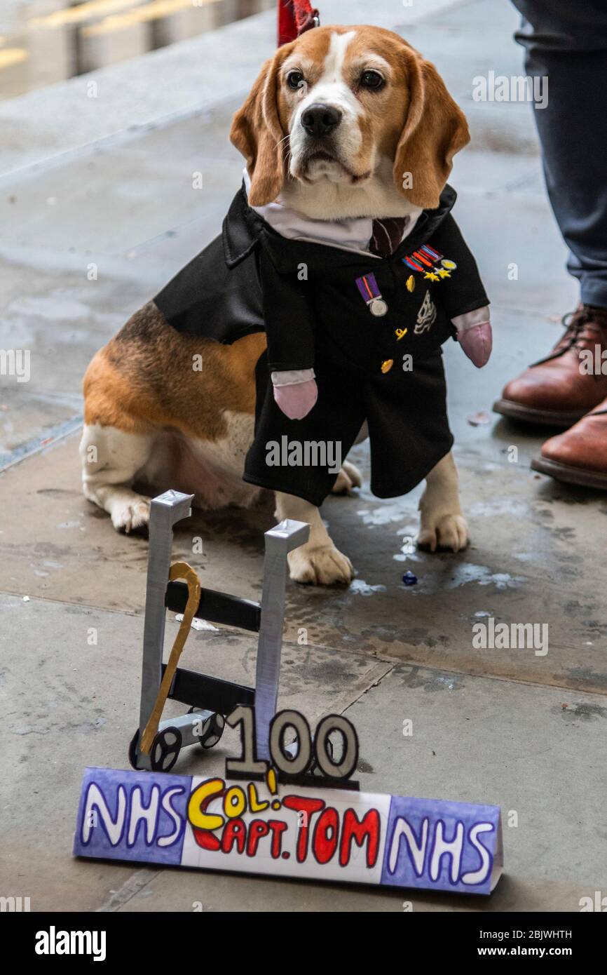 Clapping dog hi-res stock photography and images - Alamy