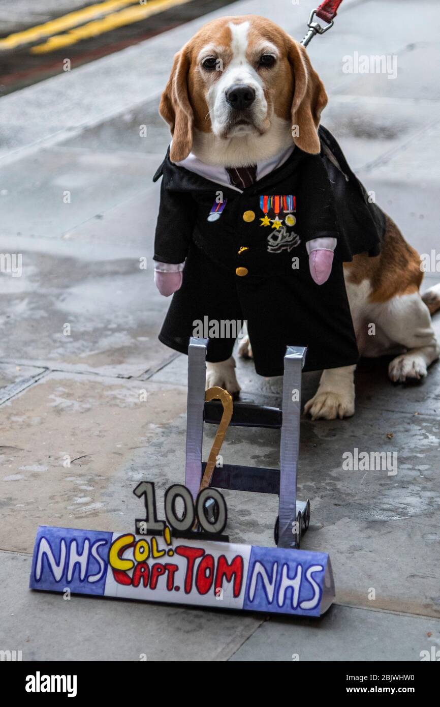 Clapping dog hi-res stock photography and images - Alamy