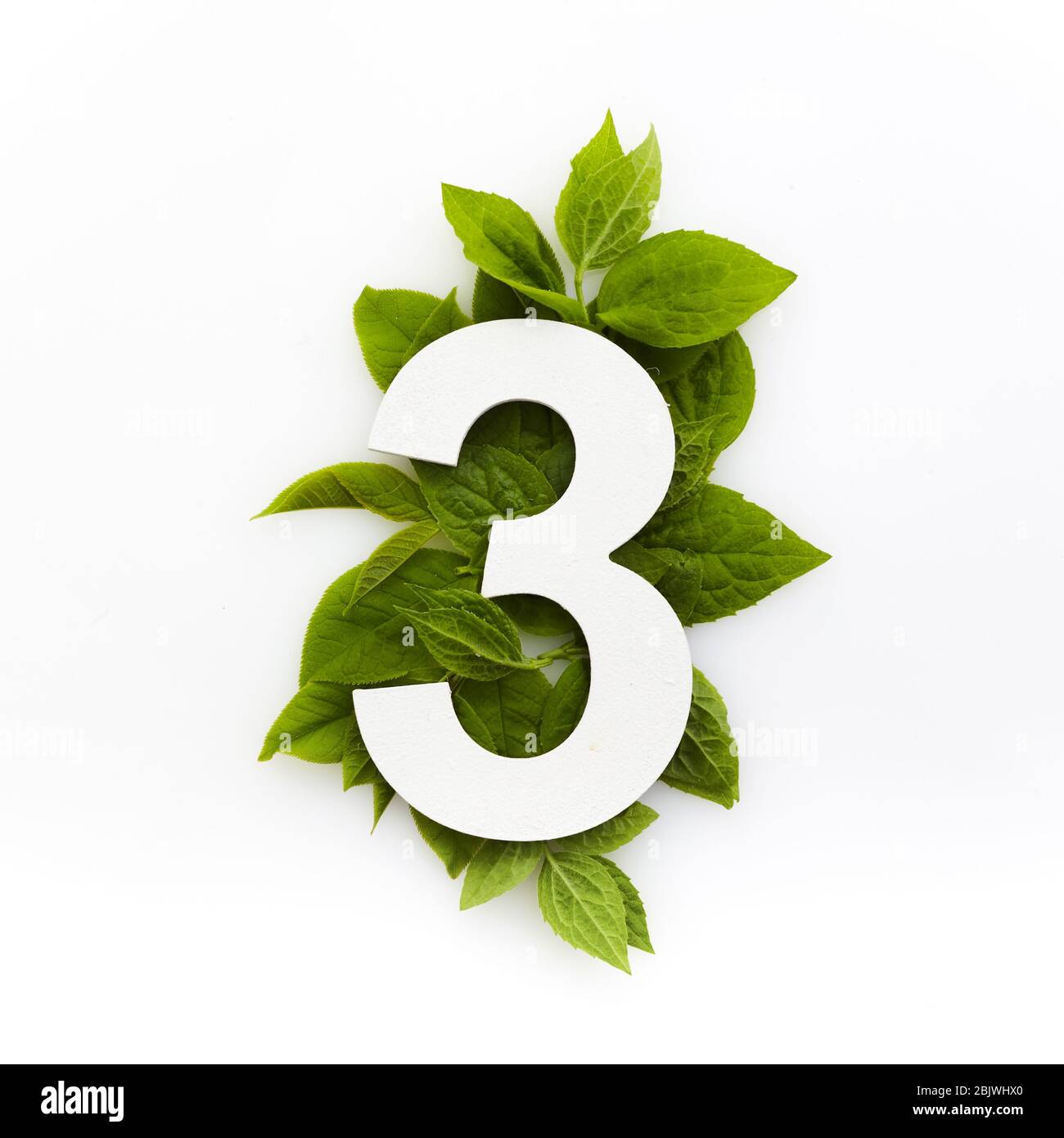 Number three with green leaves. Minimal summer concept. Flat lay Stock ...