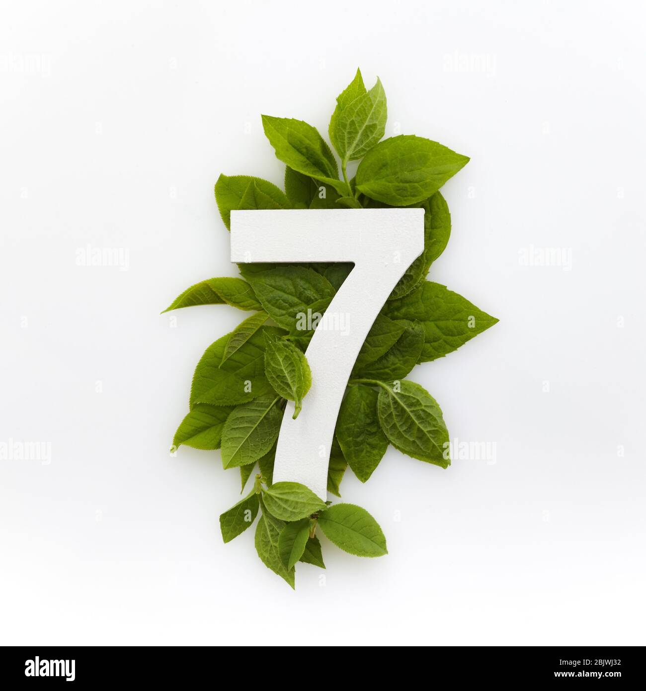 Number seven with green leaves. Minimal summer concept. Flat lay Stock ...