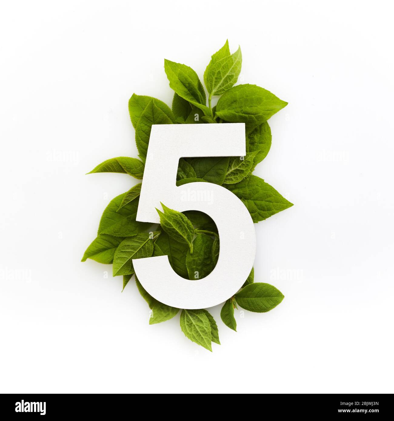 Number five with green leaves. Minimal summer concept. Flat lay Stock ...