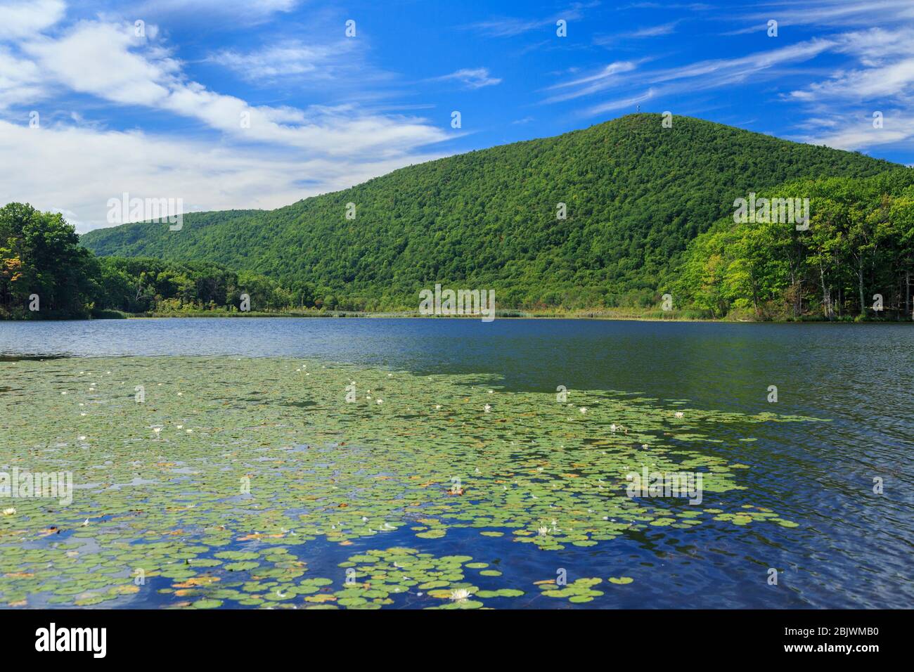 Lake with lily pads hi-res stock photography and images - Alamy